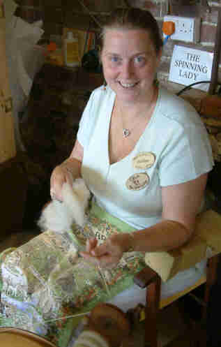 Home Page - The Spinning Lady